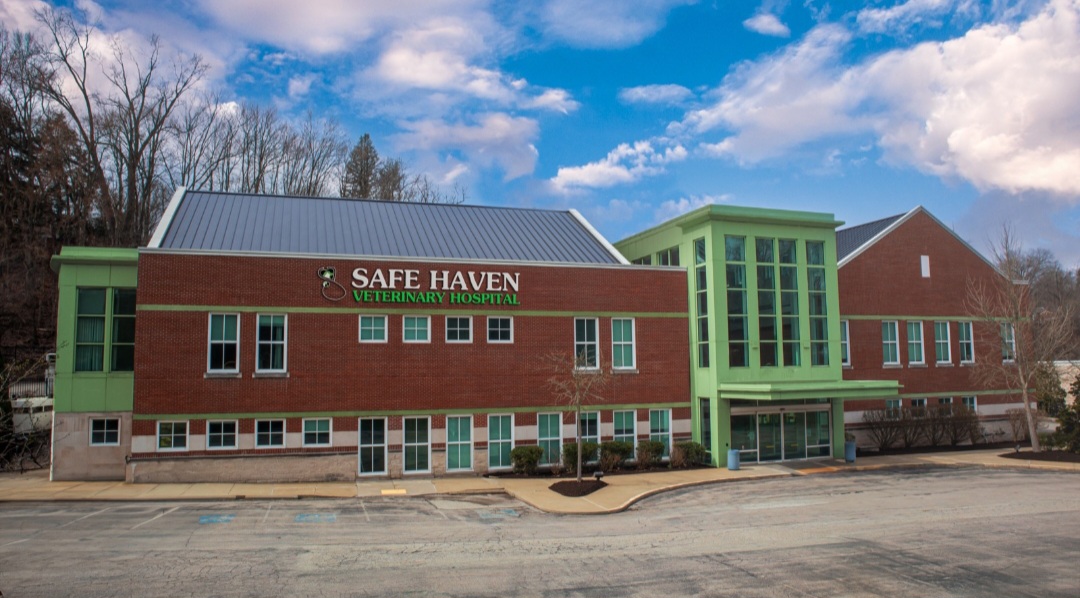 Hospitalist – Safe Haven Veterinary
