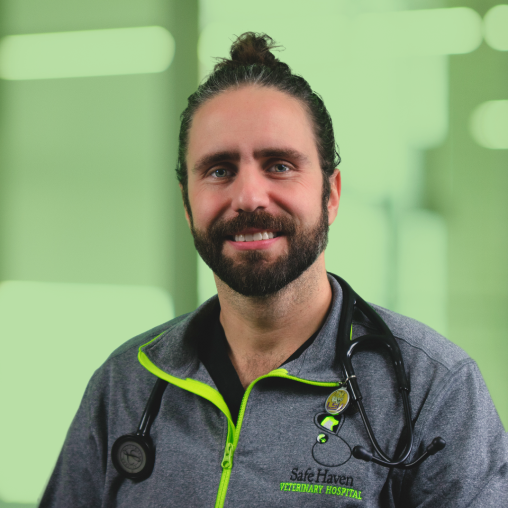 Meet the Urgent Care Staff – Safe Haven Veterinary