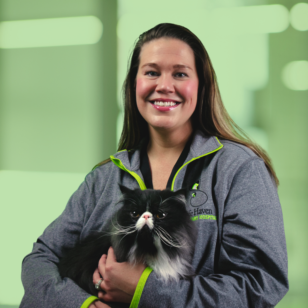 Meet the Urgent Care Staff – Safe Haven Veterinary
